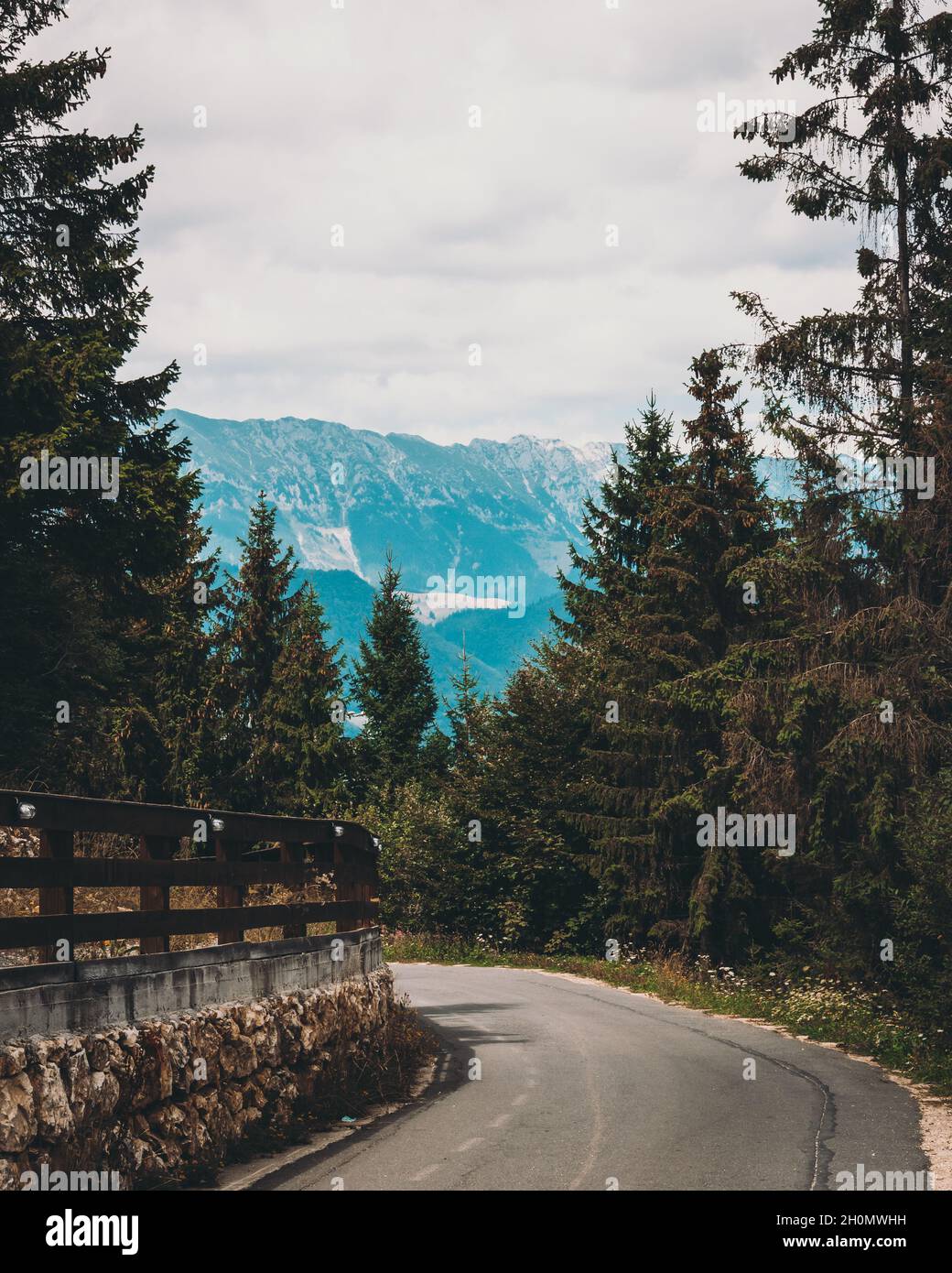 Swamp creek road hi-res stock photography and images - Alamy