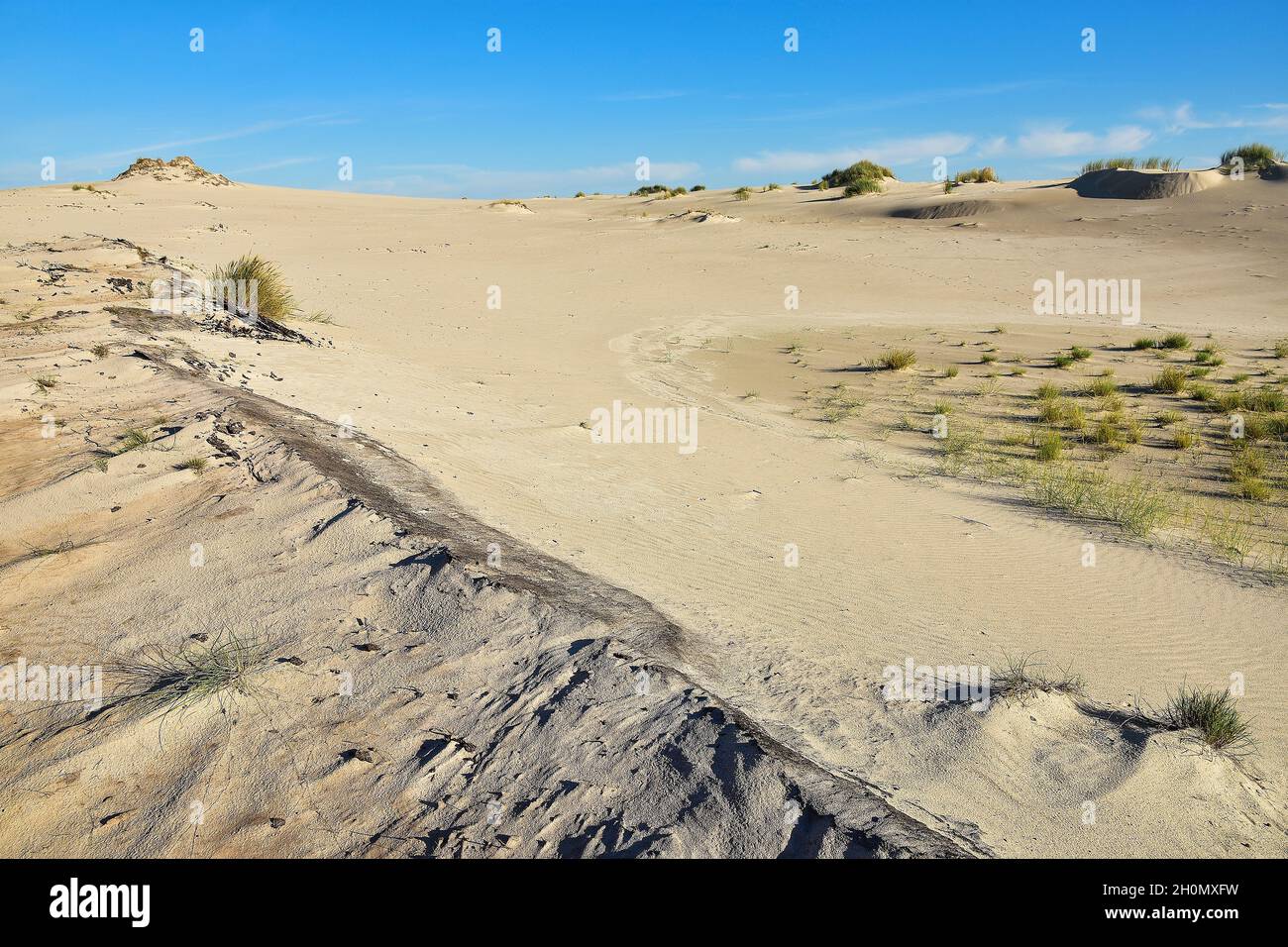 Leba lacka hi-res stock photography and images - Alamy