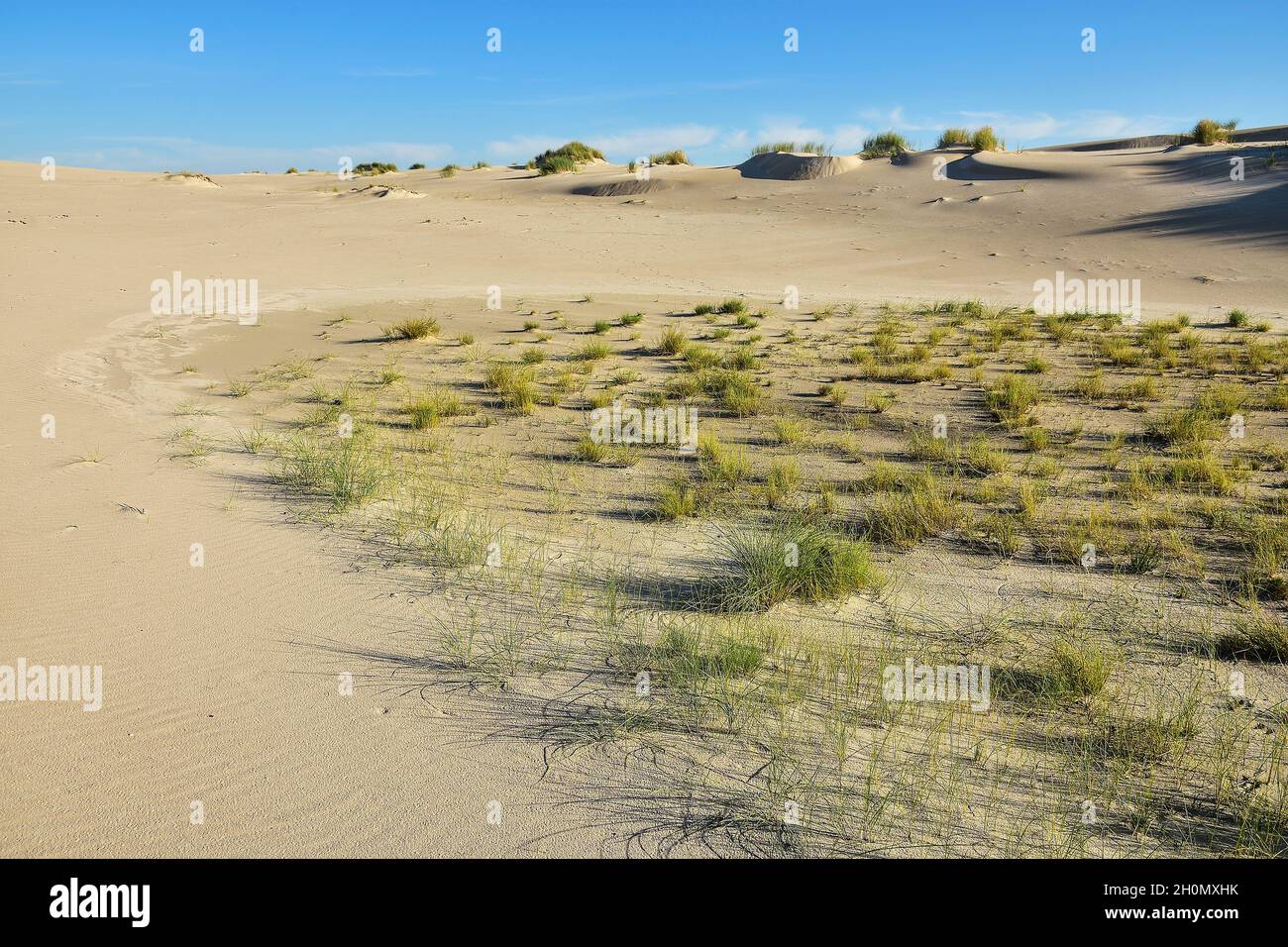 Leba lacka hi-res stock photography and images - Alamy