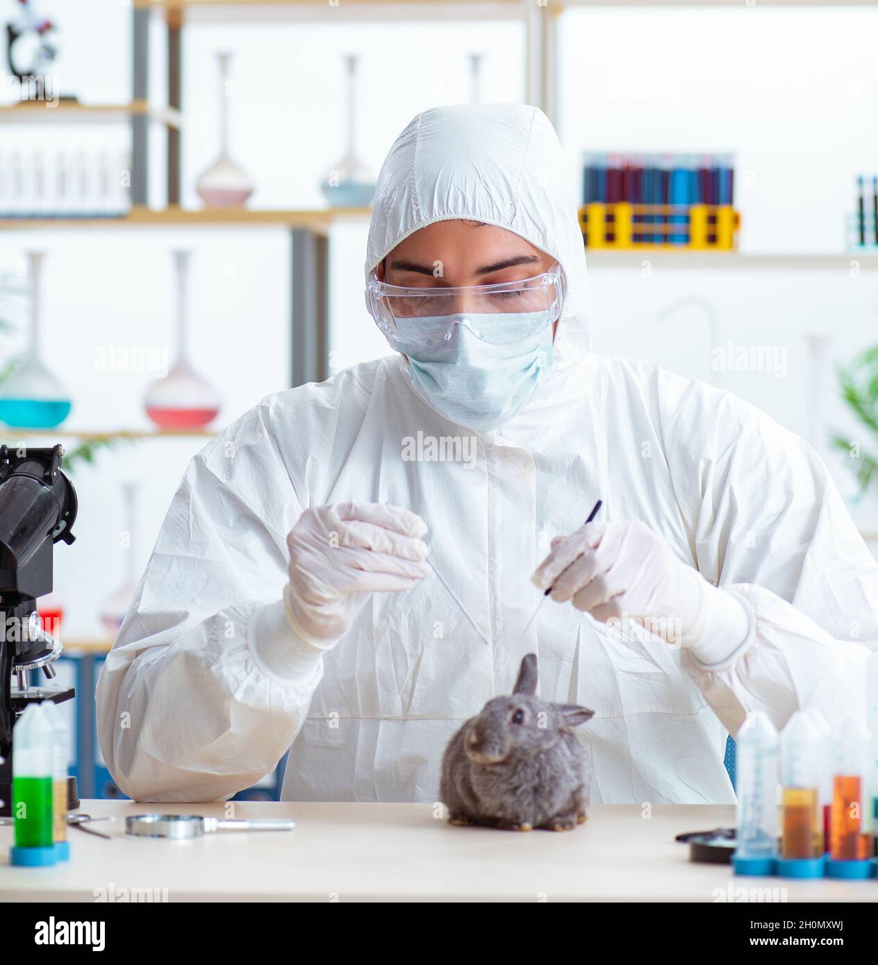The scientist doing testing on animals rabbit Stock Photo - Alamy