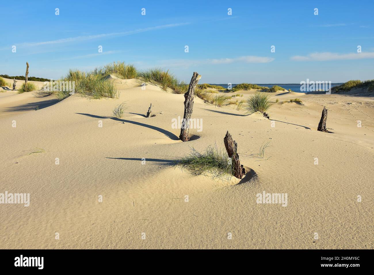 Leba lacka hi-res stock photography and images - Alamy
