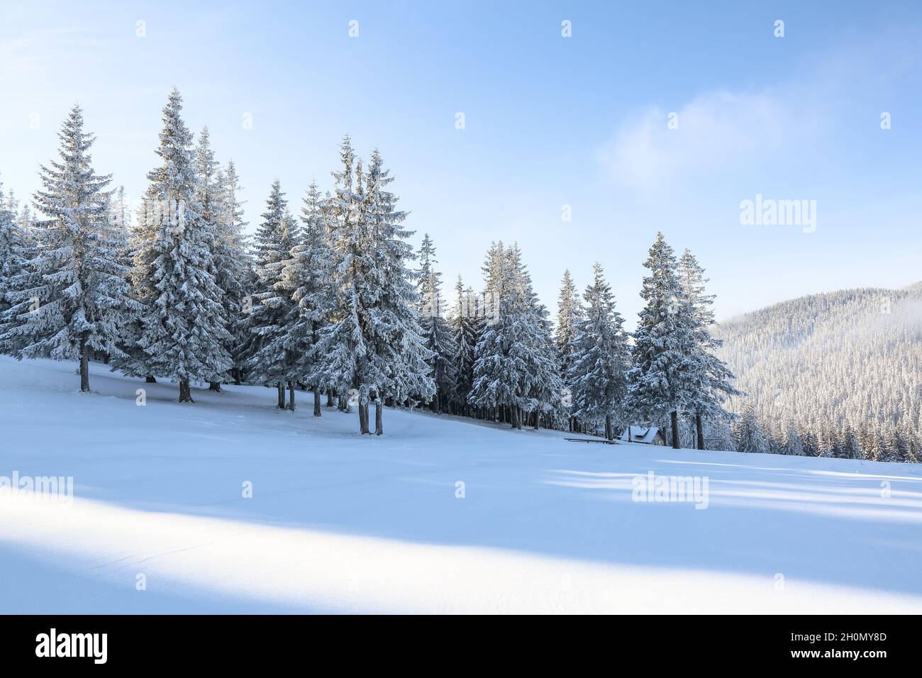 Winter scenery in cold sunny day. Lawn covered with white snow ...