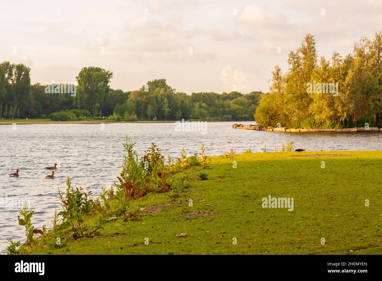 Kralingse lake rotterdam hi-res stock photography and images - Alamy