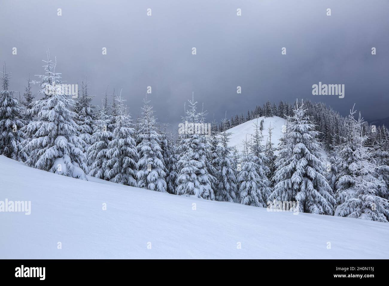 Beautiful landscape on the cold winter foggy morning. High mountain ...
