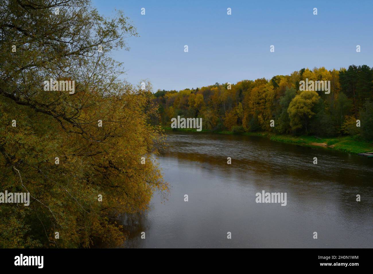 The river bends in autumn with beautiful orange-yellow trees on both ...