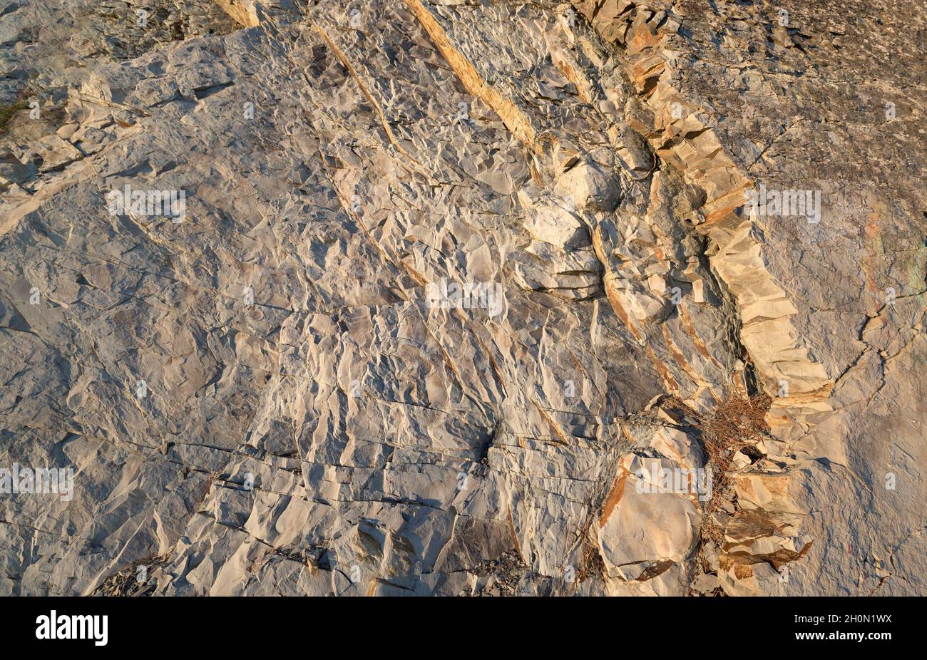 Rock formation on the coast of Dzhanhot (Russia) close-up. Texture ...