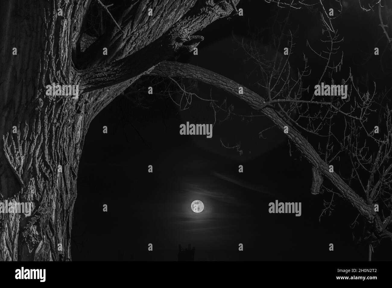 Night sky space view Black and White Stock Photos & Images - Alamy