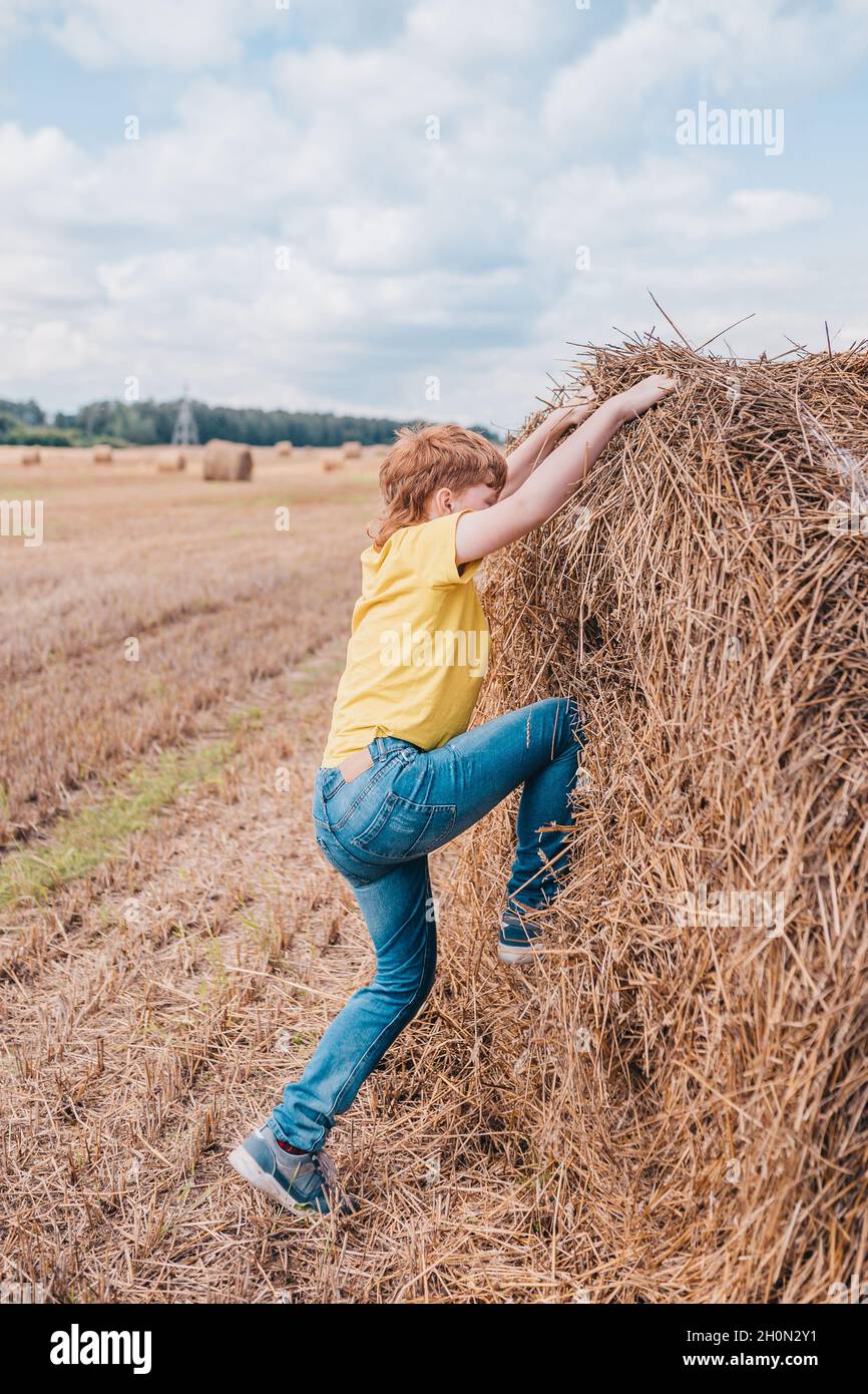 Large haystack hi-res stock photography and images - Alamy