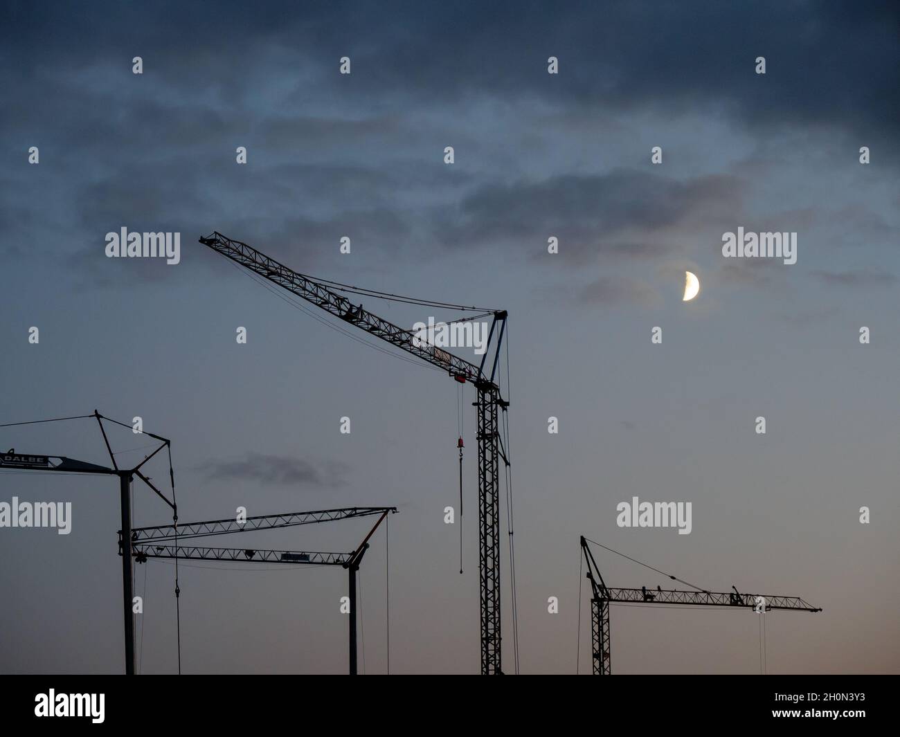 Cranes ad the moon in the evening Stock Photo - Alamy