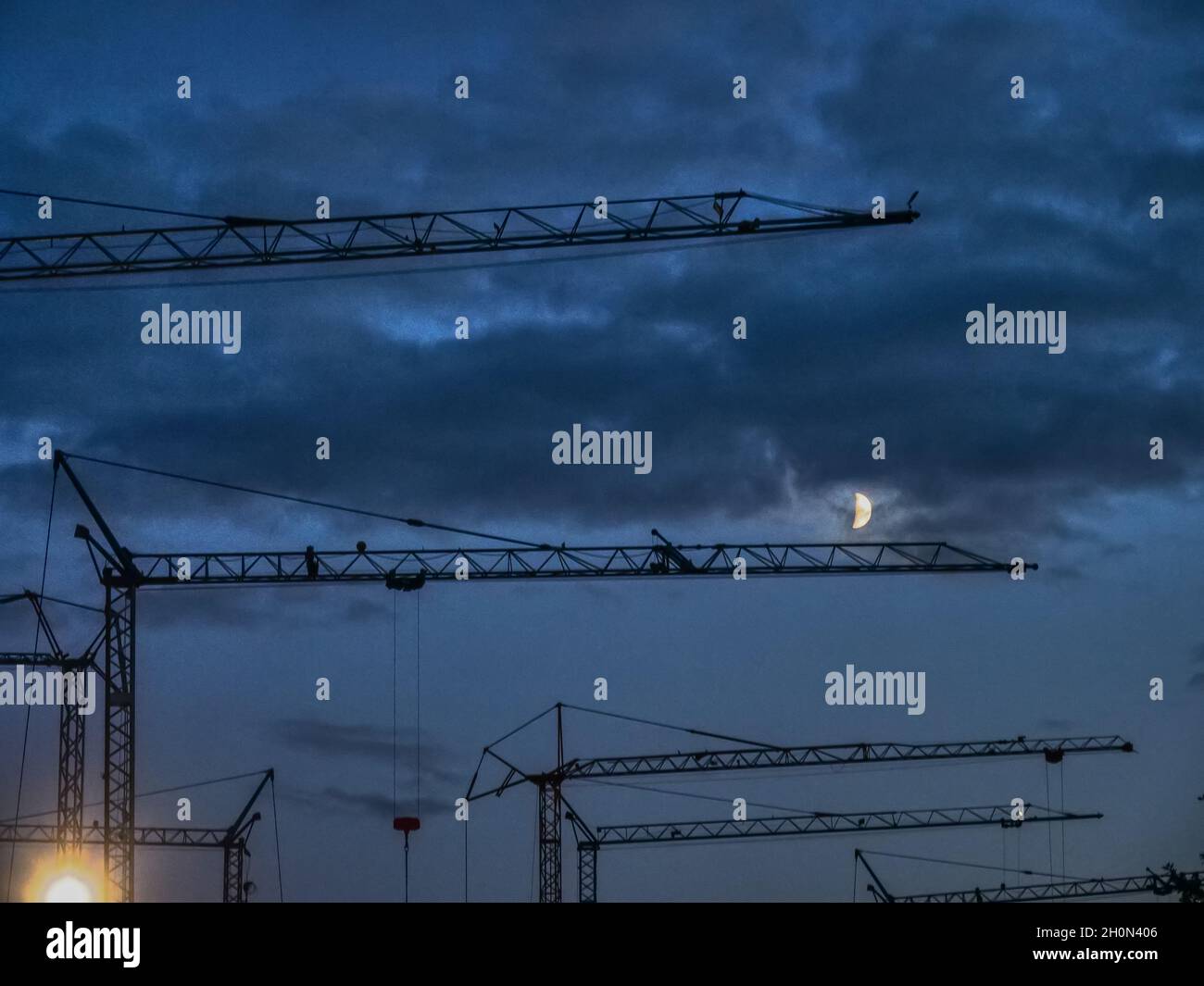 Cranes ad the moon in the evening Stock Photo - Alamy