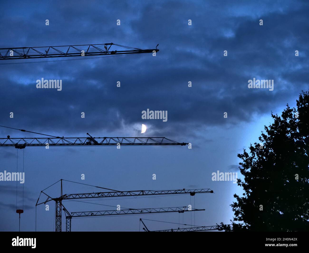 Cranes ad the moon in the evening Stock Photo - Alamy