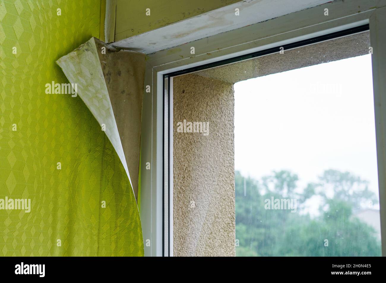 wallpaper peeled off from the wall due to moisture or poor quality ...