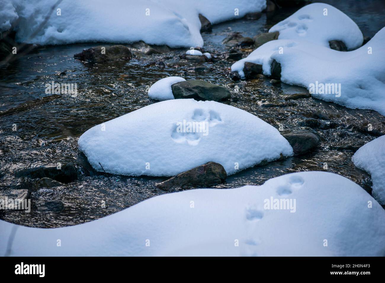 Had frozen the left foot hi-res stock photography and images - Alamy