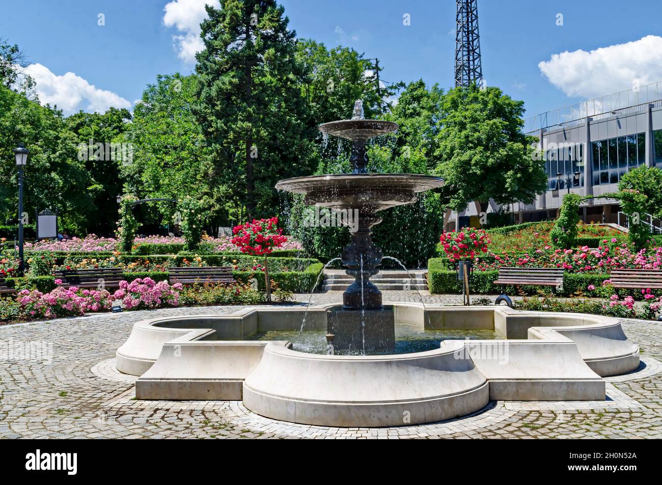 Part of a rose garden with a water fountain, Sofia, Bulgaria Stock ...