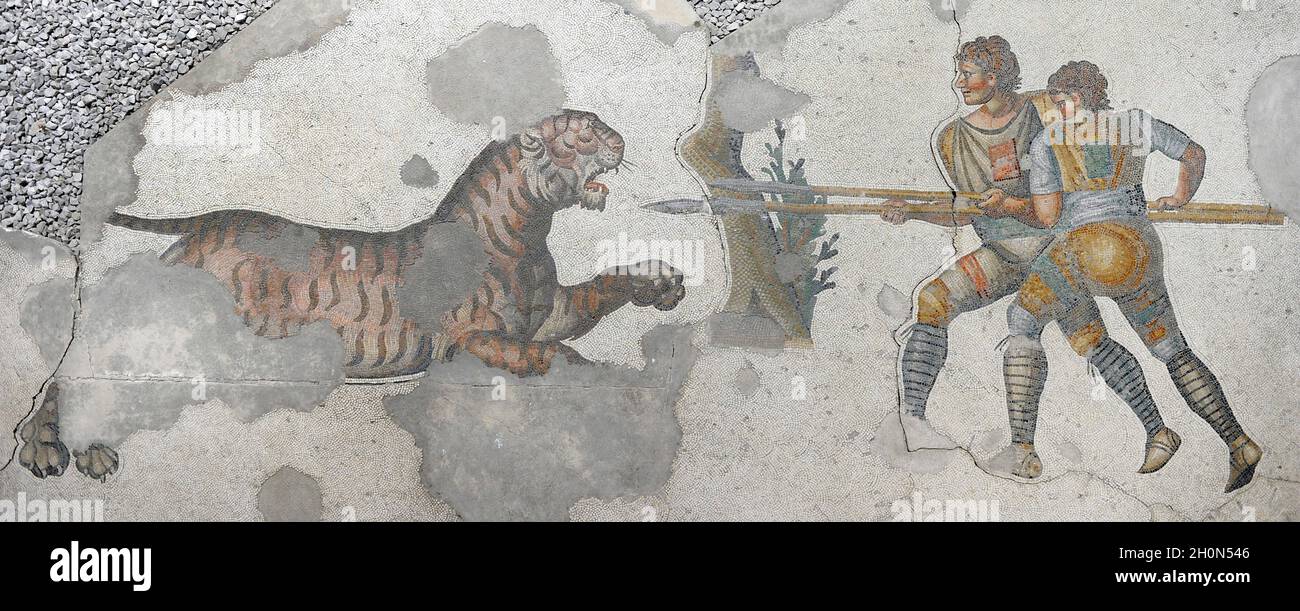 Roman mosaic lion gladiator hi-res stock photography and images - Alamy