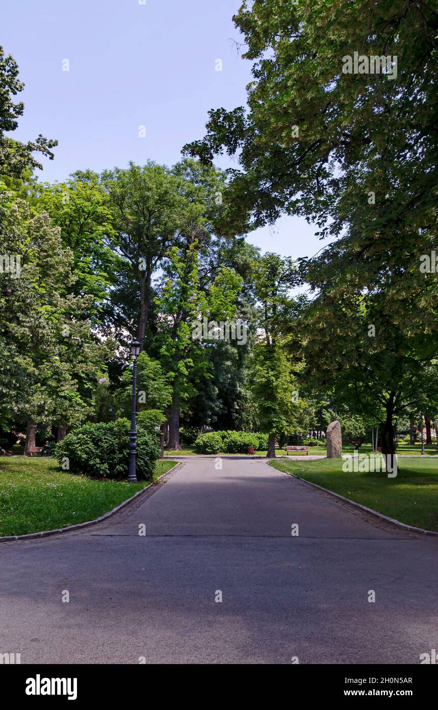 View of part of the alley in Borisova gradina, park with green trees ...