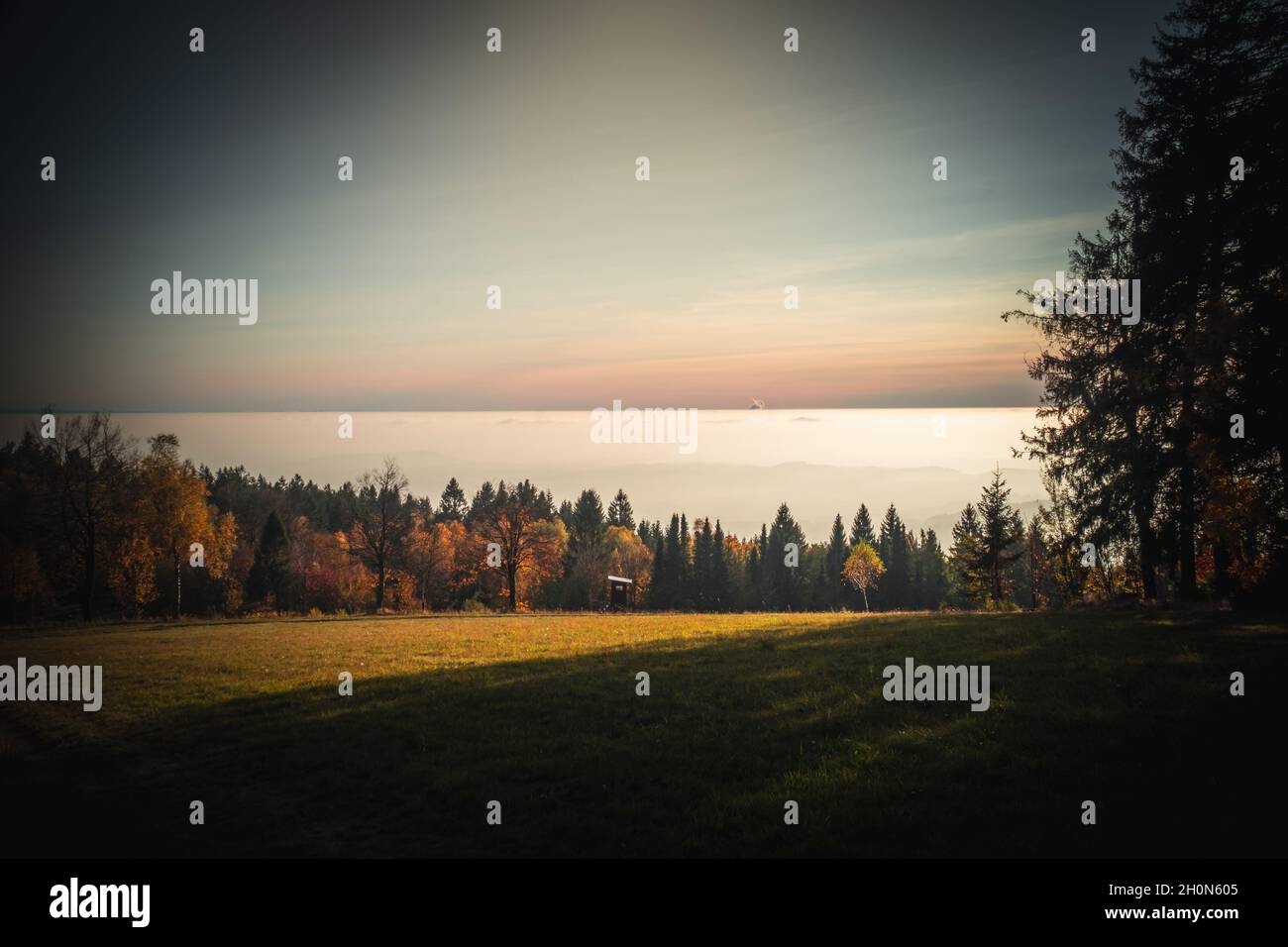 Beautiful view of an autumn landscape with trees in Bavaria, Germany ...