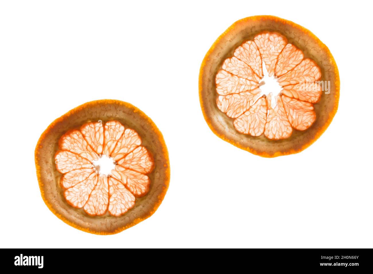 Pieces of fruit with an internal structure with backlight - grapefruit ...
