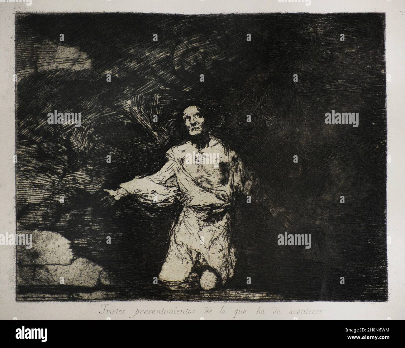 Francisco de Goya y Lucientes (1746-1828). Spanish painter. The ...