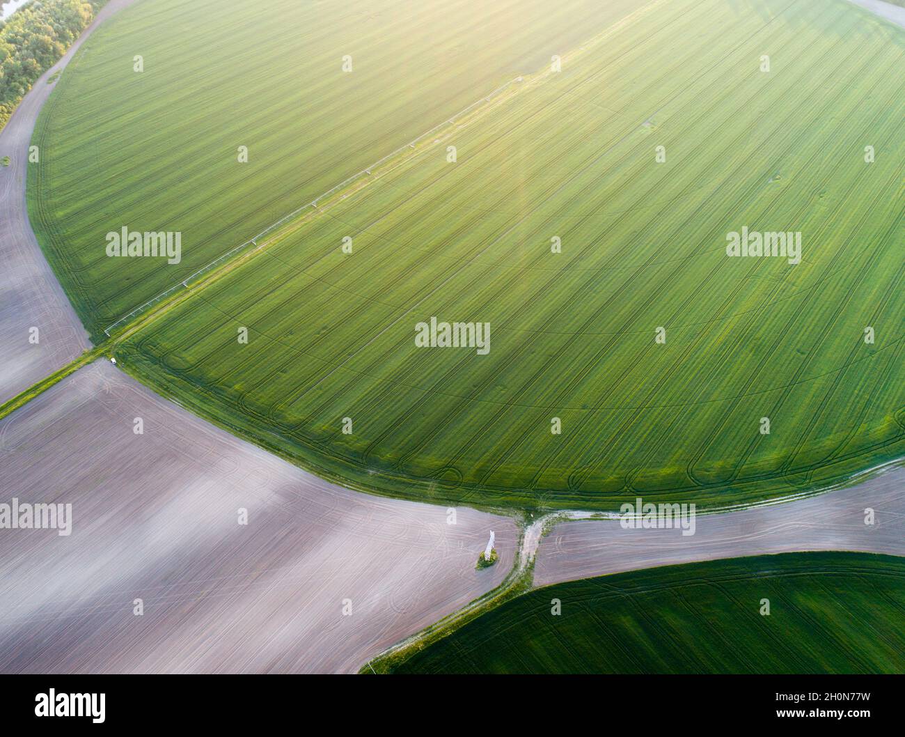 Aerial view of irrigation center pivot system on round shaped wheat field in springtime shoot ...