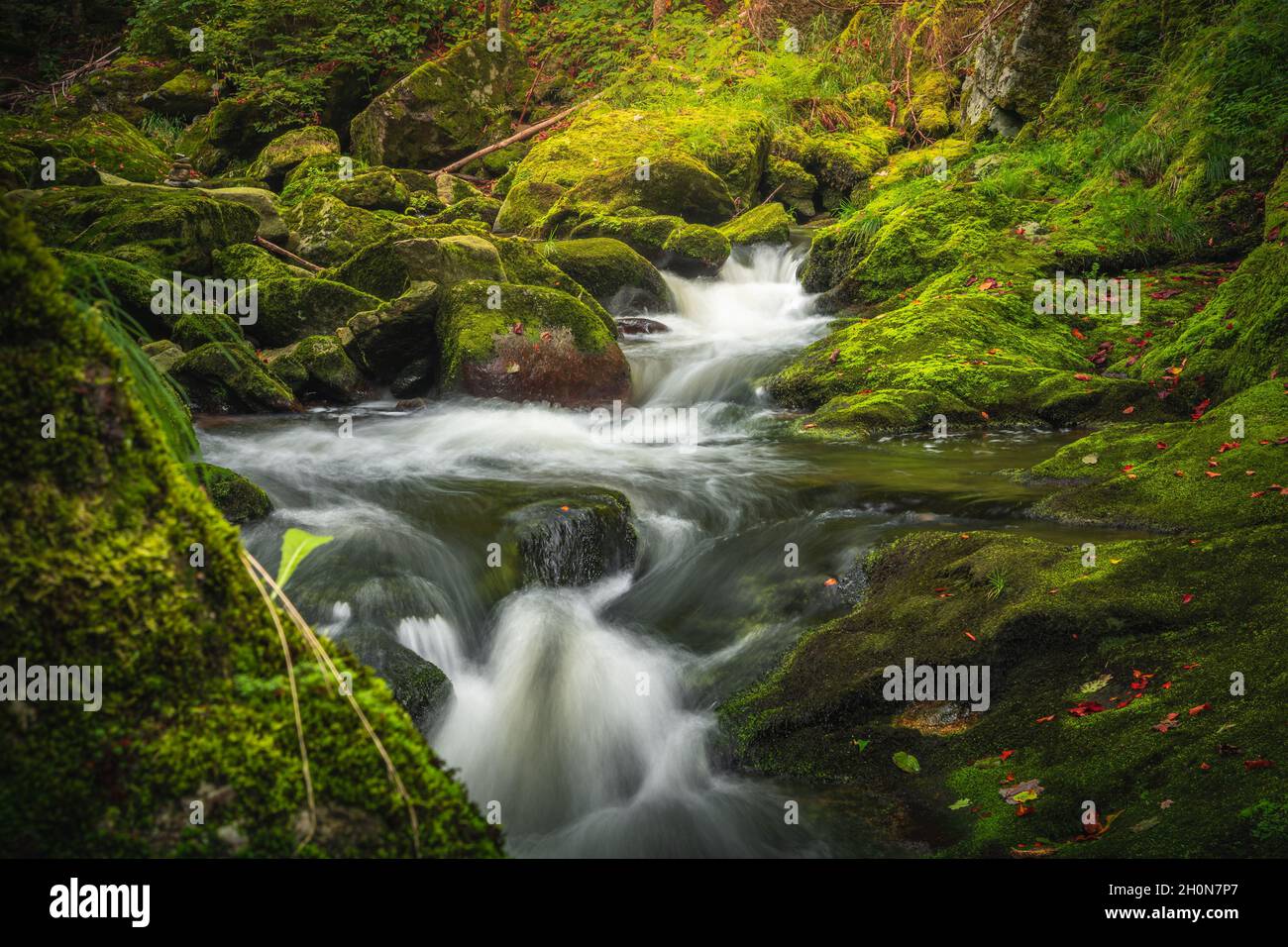 Beautiful natural landscape in Bavarian forest with greenery and River ...