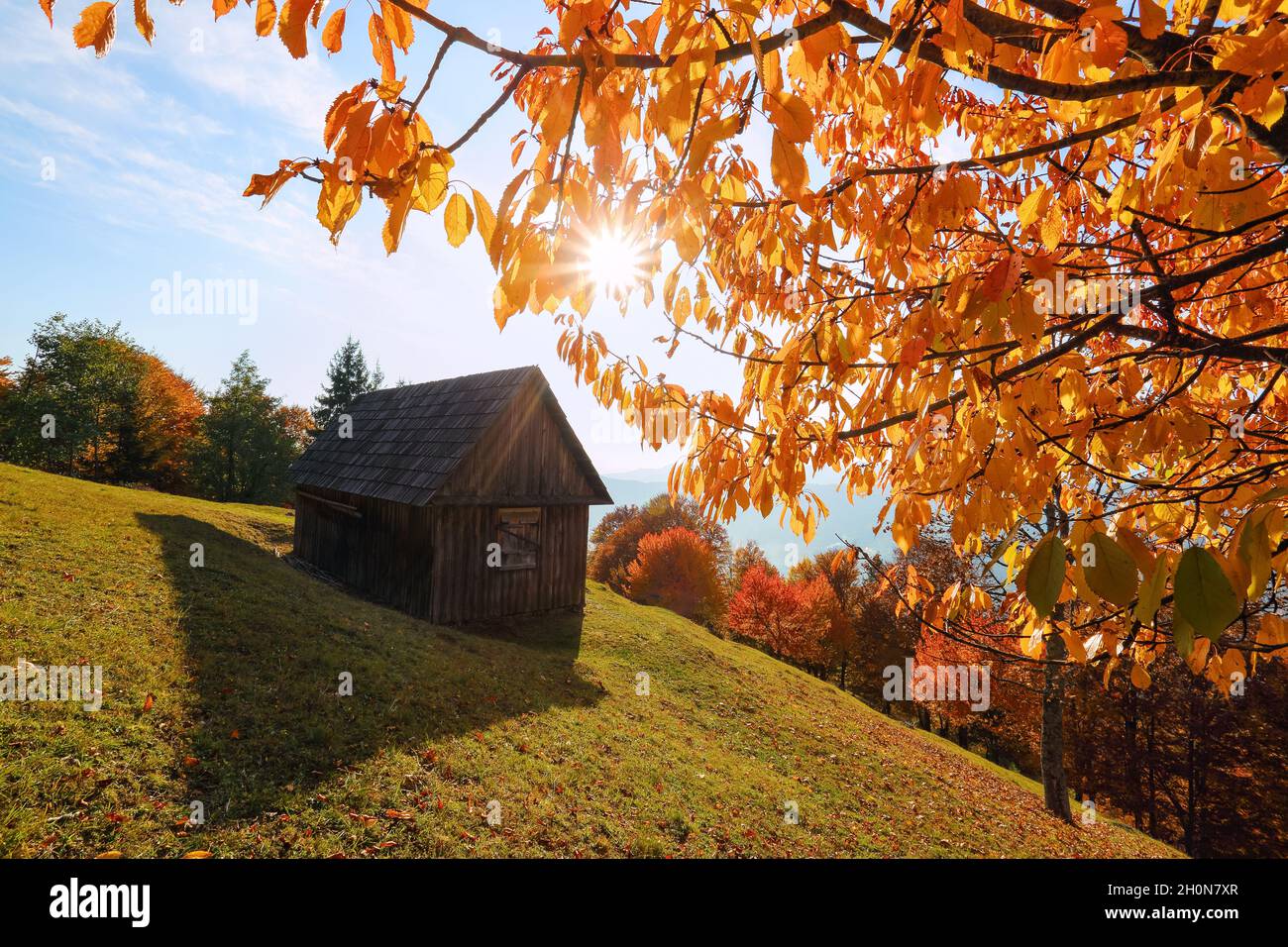 Old wooden hut on the lawn. Autumn landscape with the trees. Sun rays ...