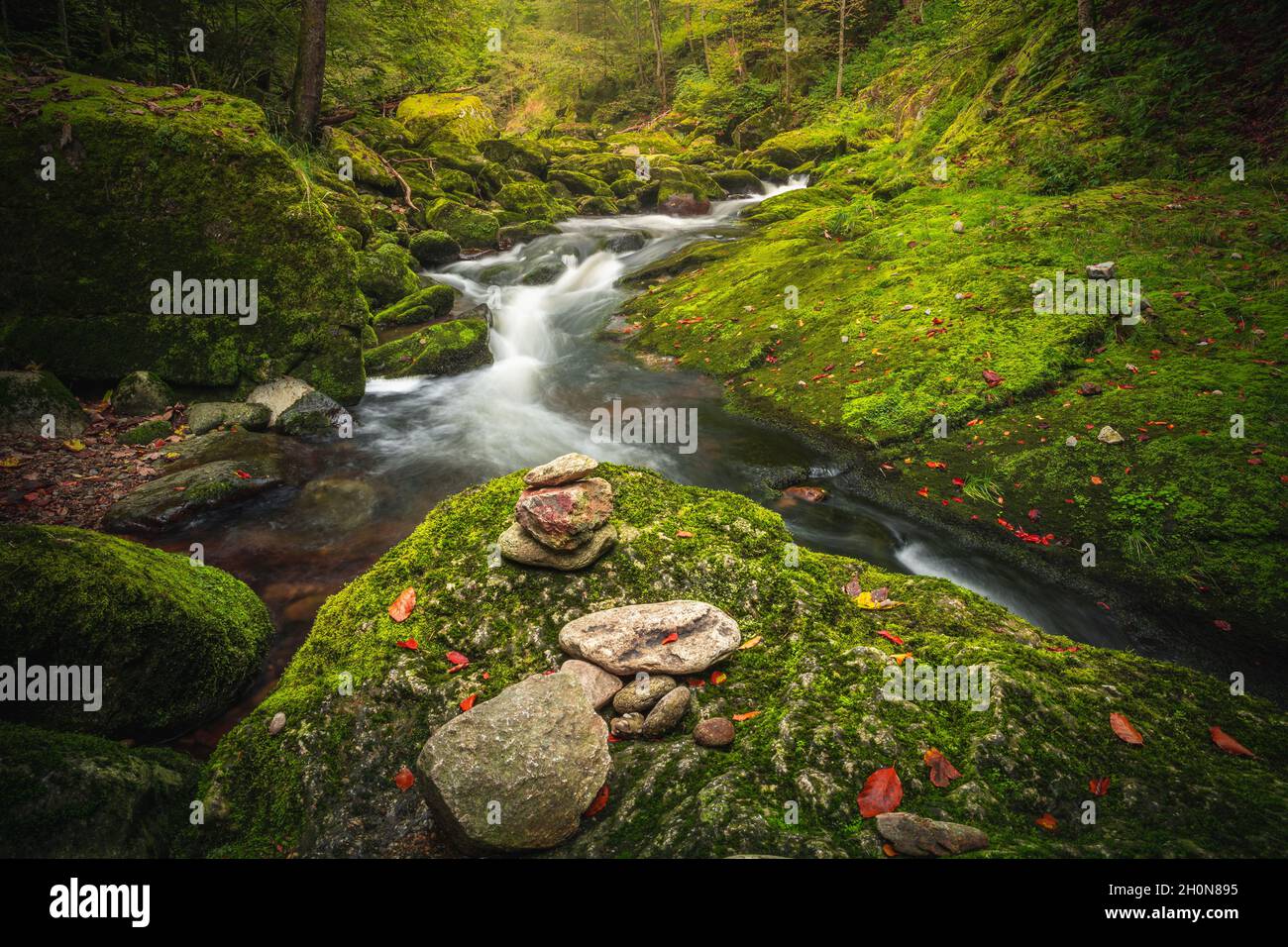 Beautiful natural landscape in Bavarian forest with greenery and River ...
