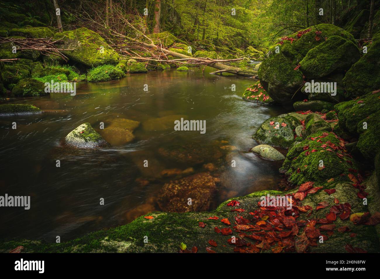 Beautiful natural landscape in Bavarian forest with greenery and River ...
