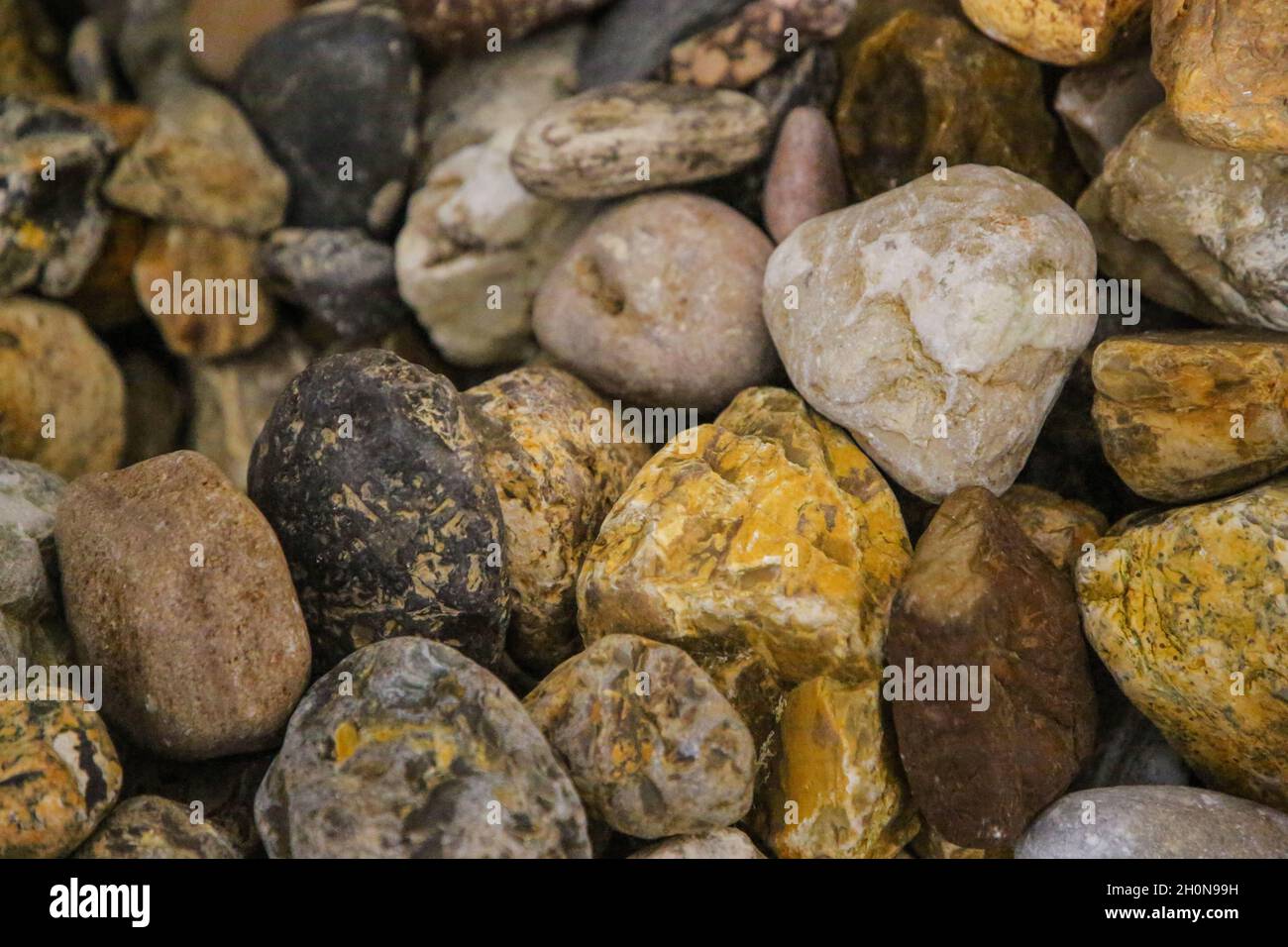 Precious, rare and distinctive stones are displayed in an exhibition at ...