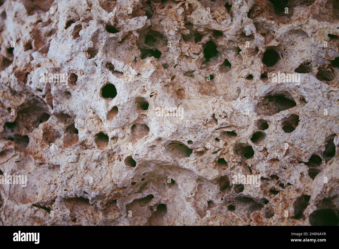 Coral stone architecture hi-res stock photography and images - Alamy