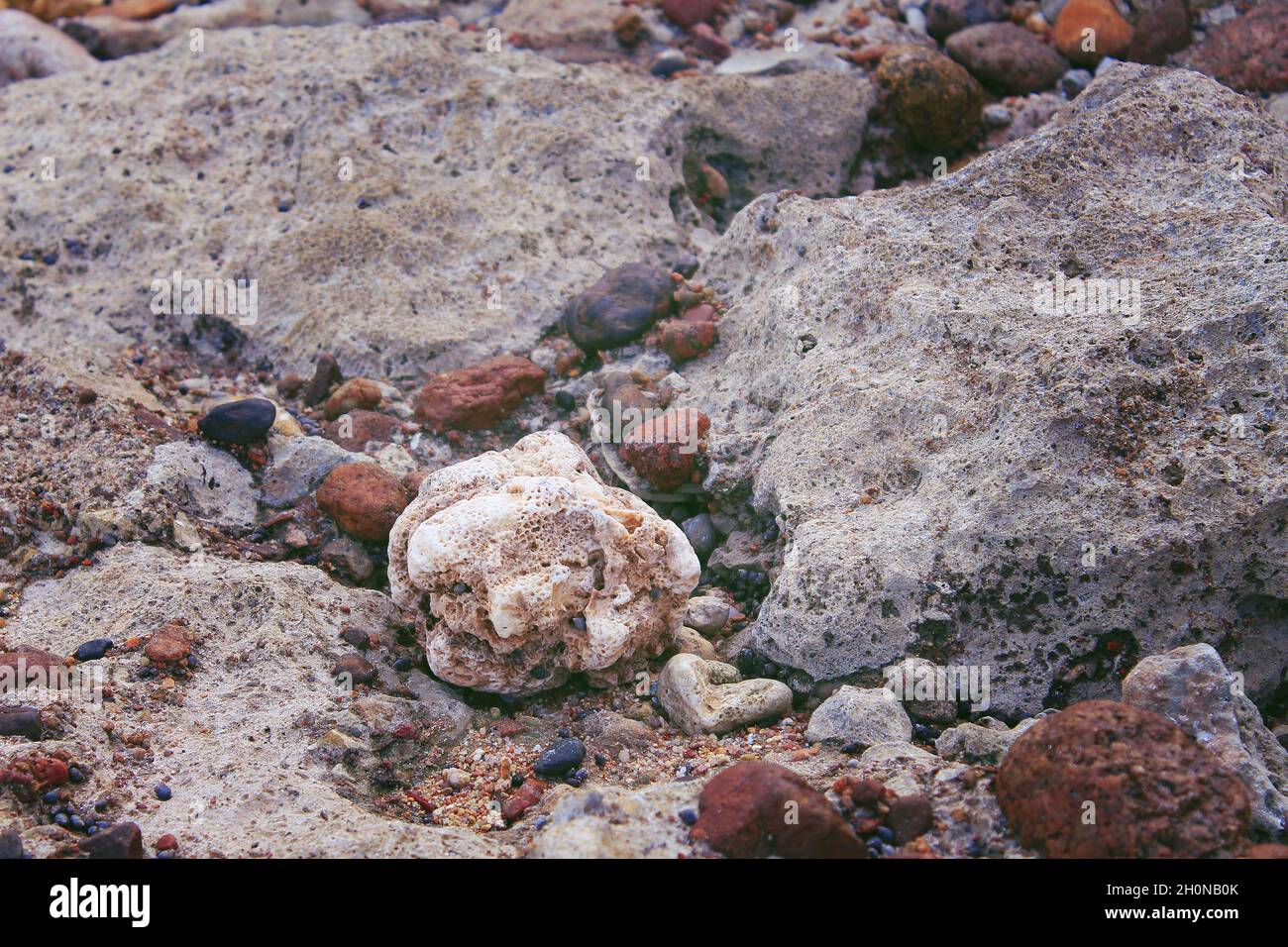 Coral stone architecture hi-res stock photography and images - Alamy