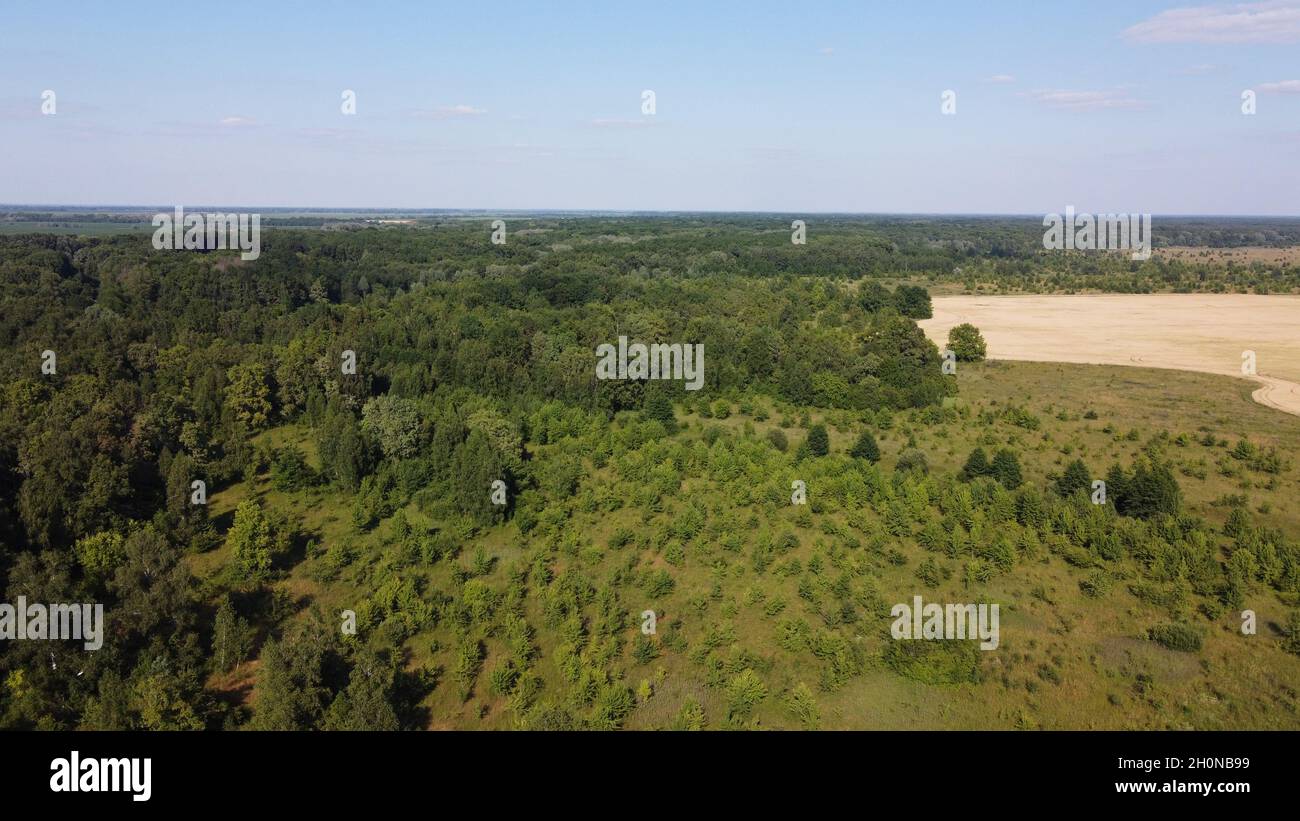 Young forest aerial hi-res stock photography and images - Alamy