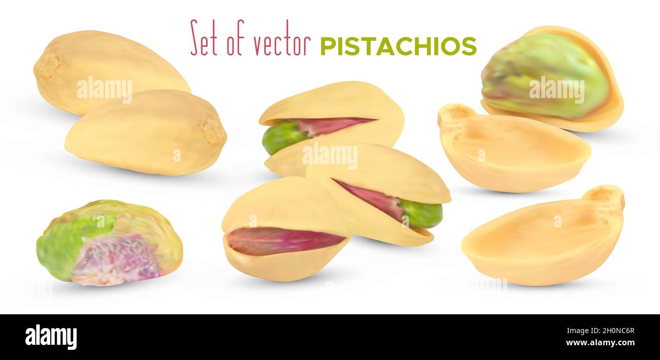 Realistic vector pistachios nuts and shell isolated on white background ...