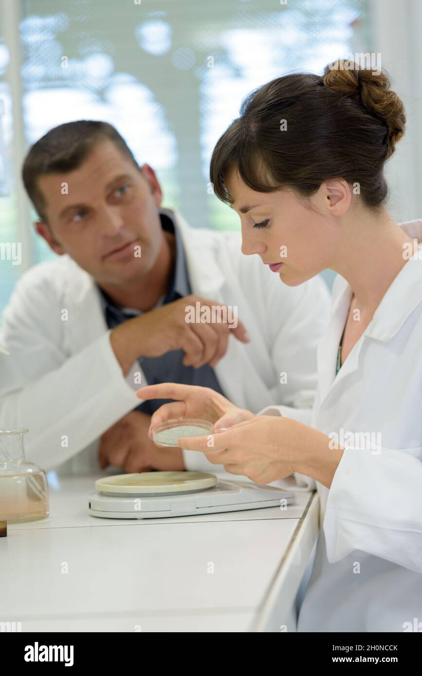 female scientist weighing petri dish on electronic scales Stock Photo ...