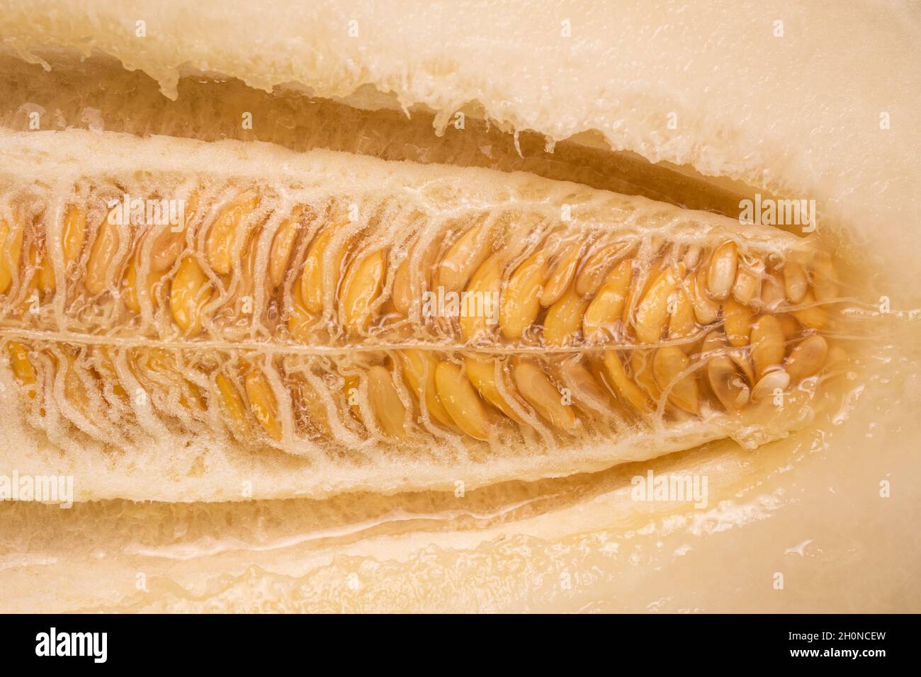 Juicy watermelon cross section close up hi-res stock photography and ...