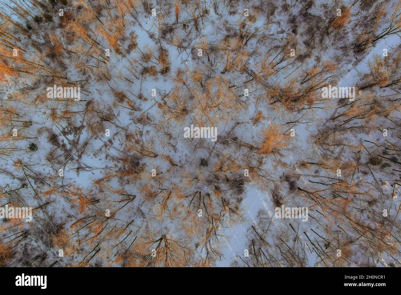 Flight over snow forest frozen hi-res stock photography and images - Alamy