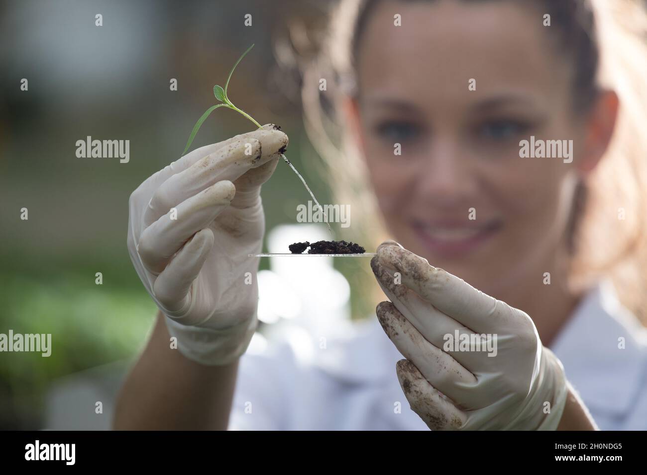 Microscope glass hi-res stock photography and images - Alamy