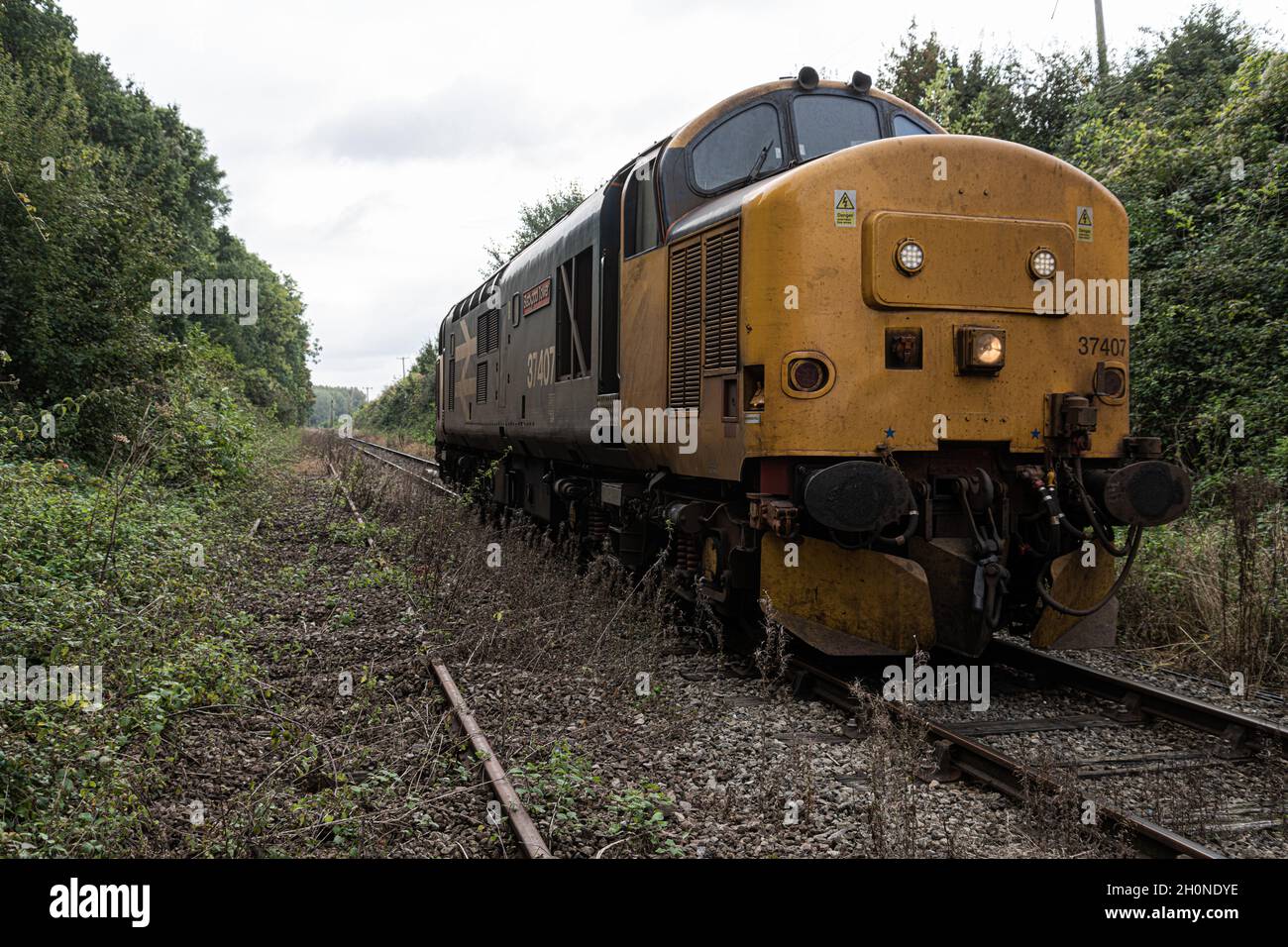 Class 37 British railways locomotive Stock Photo - Alamy