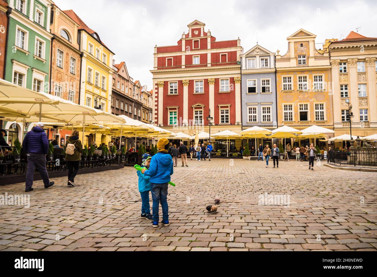 Joy of birdwatching hi-res stock photography and images - Alamy