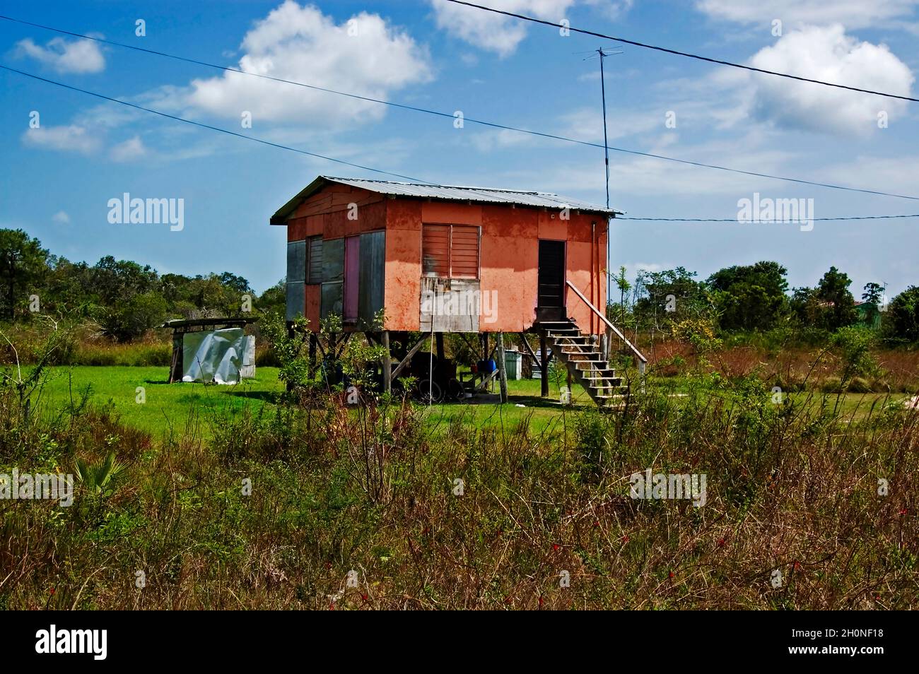 Red farmer's house on piles, Belize, Central America Stock Photo - Alamy