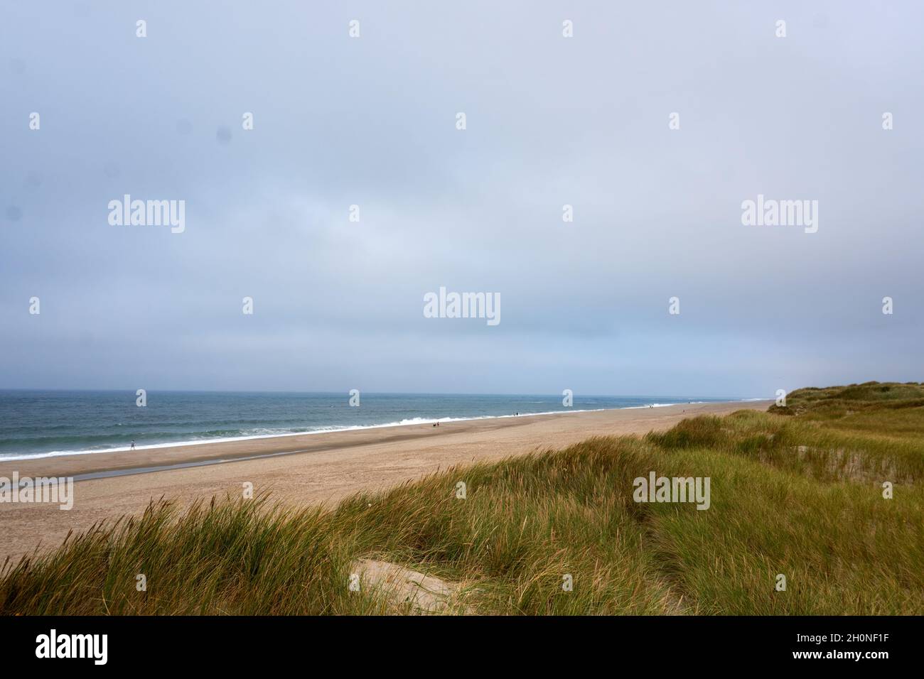 Beautiful view of a sea and a small field in the foreground Stock Photo ...