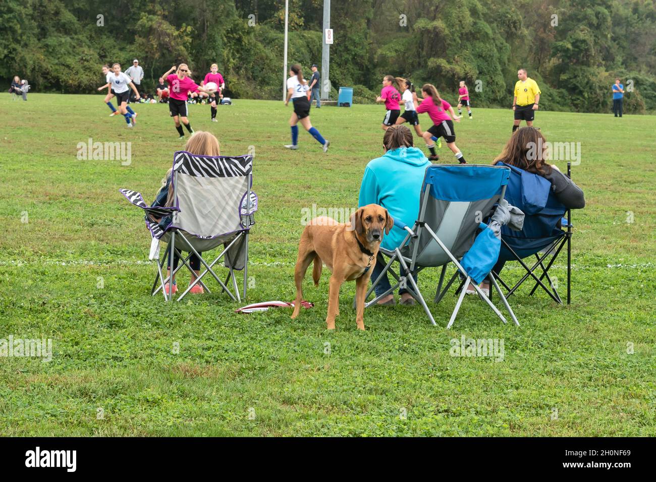Soccer spectators hi-res stock photography and images - Alamy
