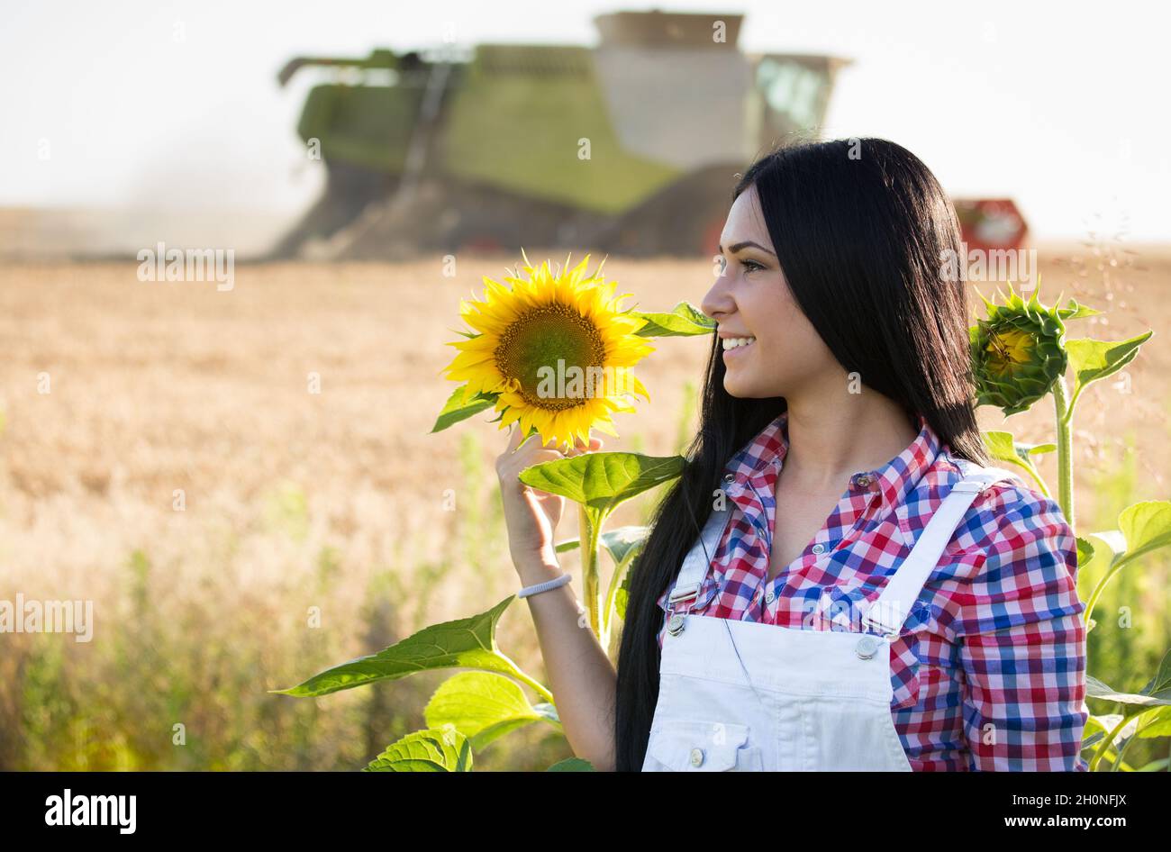 Combine harvester model hi-res stock photography and images - Alamy