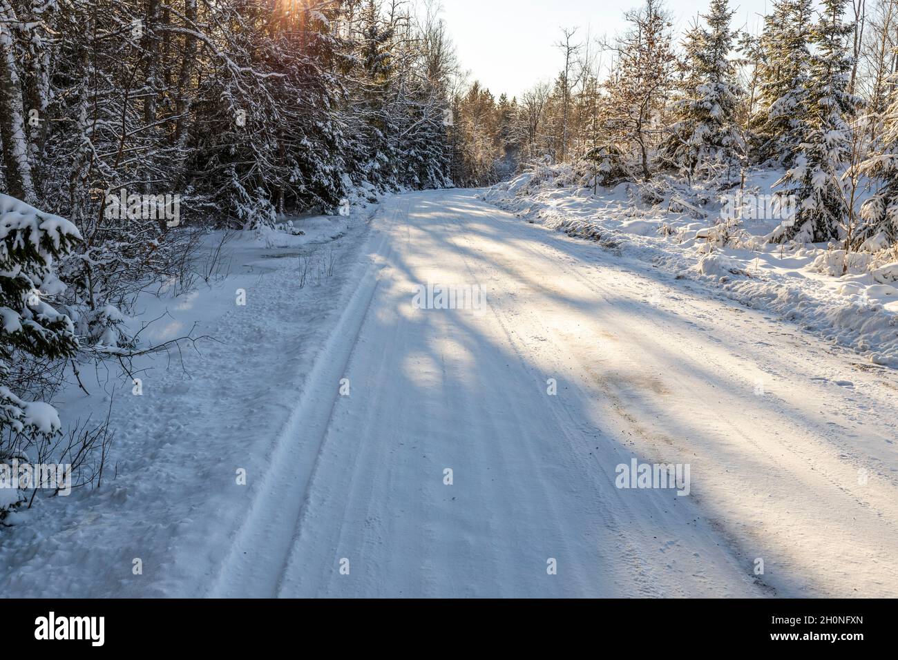 Beautiful winter nature landscape view. Snowy road on frosty forest ...