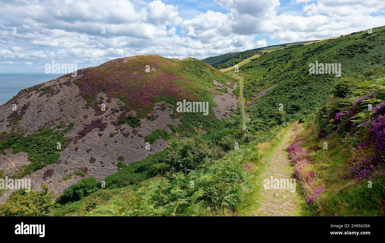 Countisbury south west coastal path hi-res stock photography and images ...