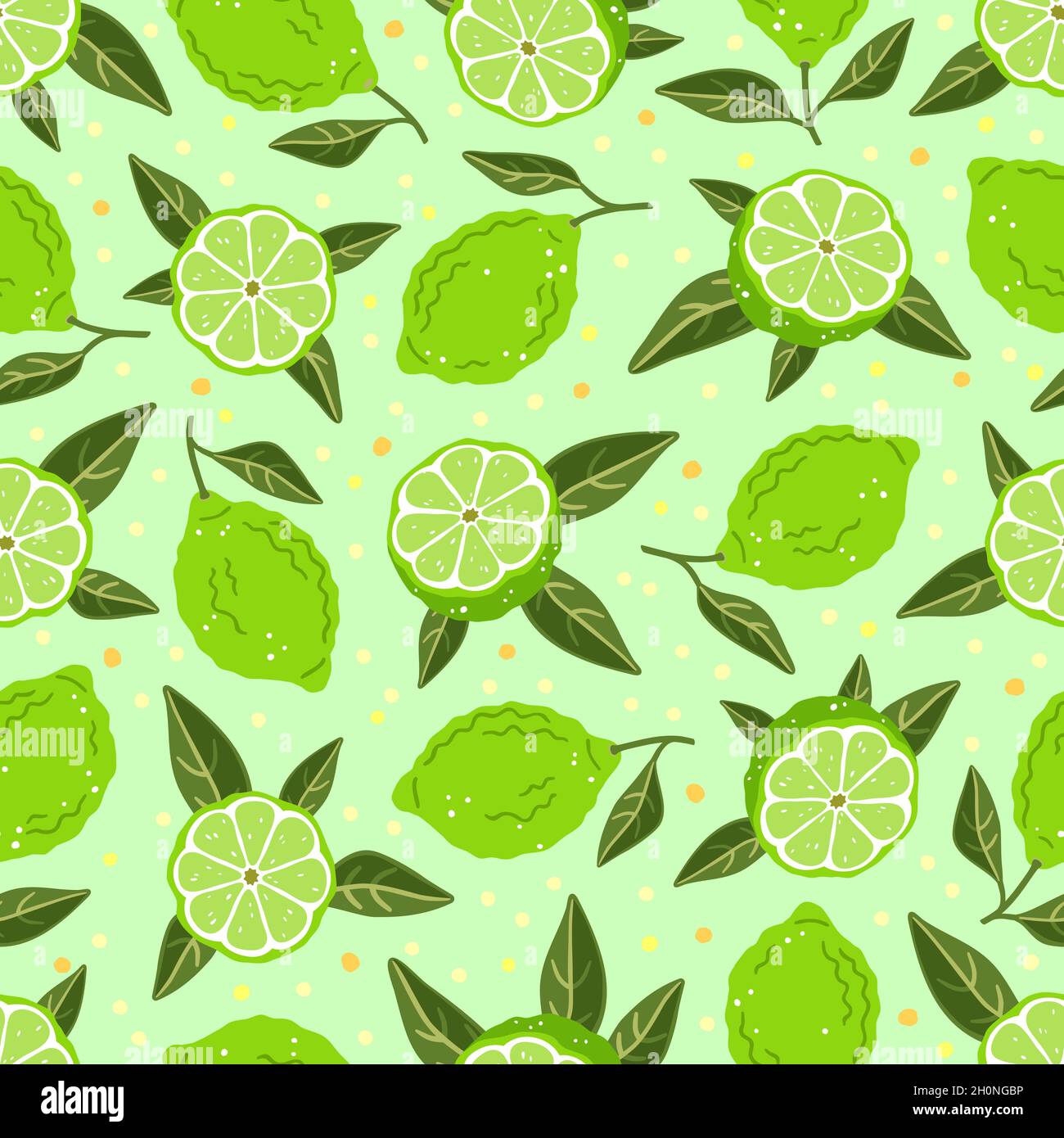 Seamless pattern with limes and leaves. Vector illustration Stock Vector Image & Art - Alamy