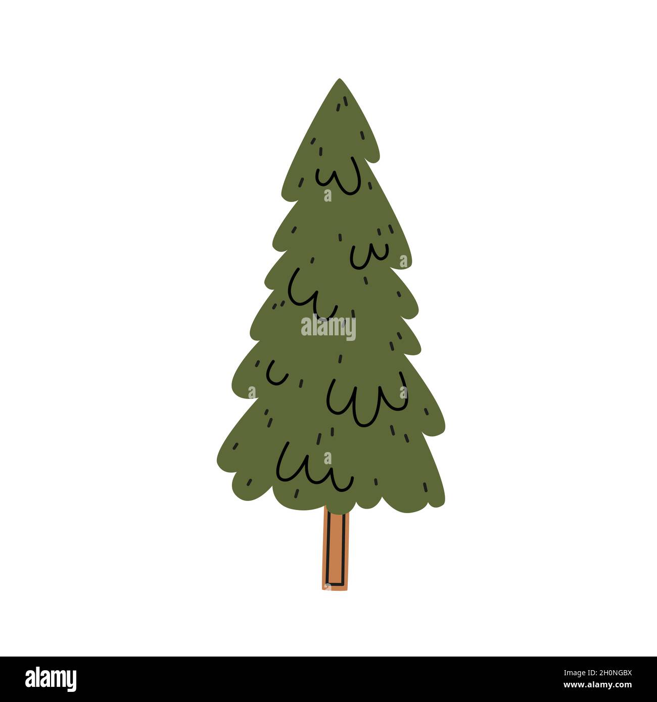 Spruce vector vectors hi-res stock photography and images - Alamy