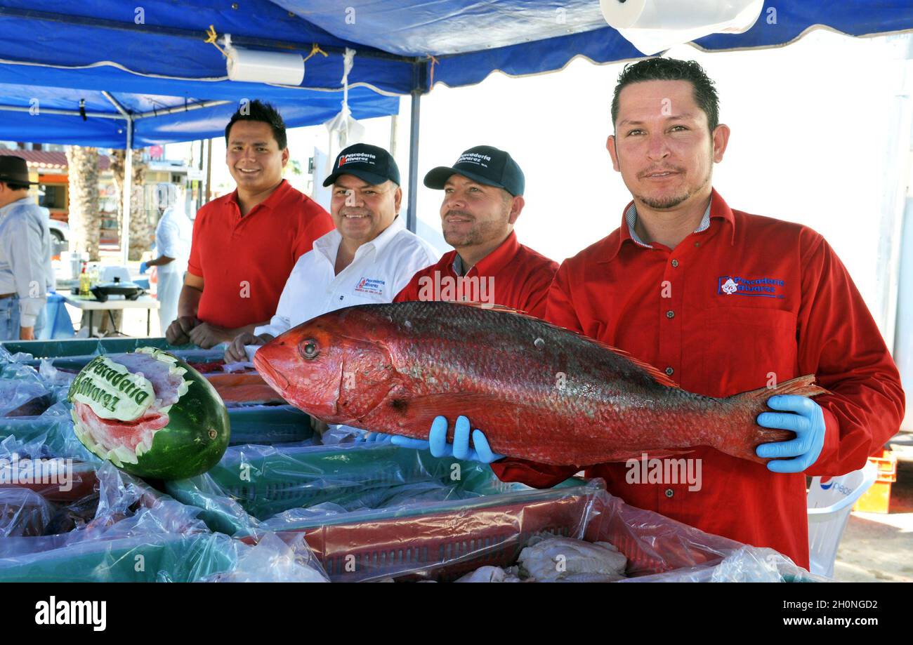 A man holds in his hands a large red snapper from the Alvarez ...