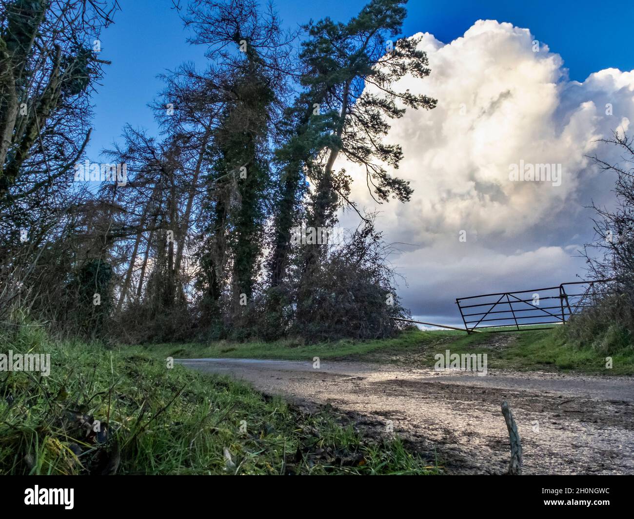 After a storm as the rainclouds clear,a gate leading into a field with ...