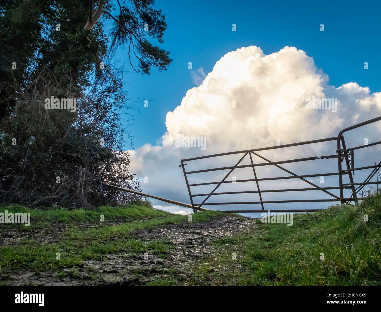 After a storm as the rainclouds clear,a gate leading into a field with ...